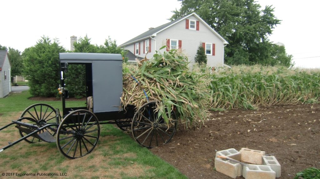 Amish Transportation